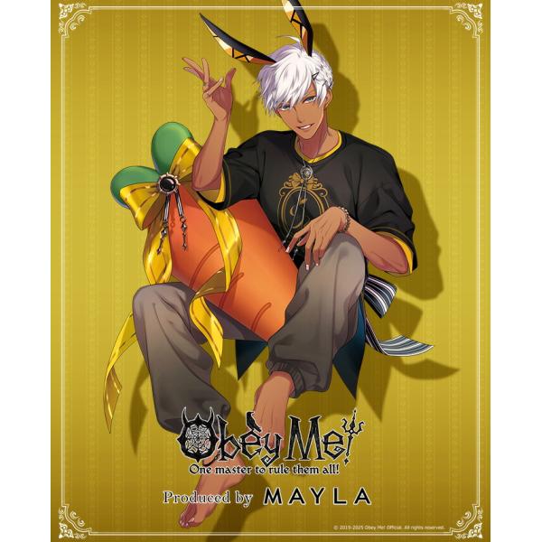 ゲーム内の“バニーボーイ”衣装をイメージし、オーバーサイズシルエットに落とし込んだ特別仕様のTシャツ。キャラの華やかさやセクシーさをMAYLAの美意識で再解釈し、リラックス感のなかにエレガントな魅力を宿す1枚です。背面リボンや刺繍ロゴなど、...