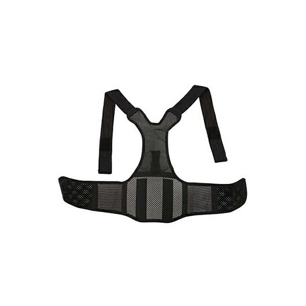 背筋を伸ばしてぐんぐん成長！せのびーる！