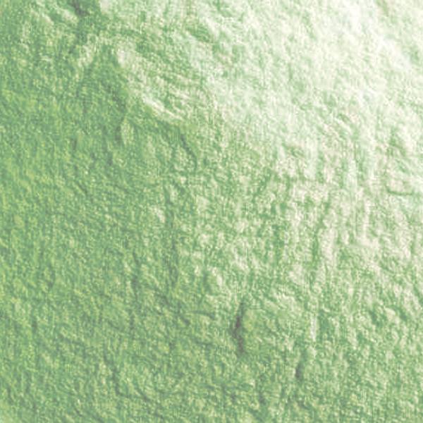 ライトグリーン   パウダー約450g   膨張係数90                  パウダーを小分け用のプラスチック瓶ではなく、ビニール袋に詰め代えさせていただくとクロネココンパクト（※合計10,000円以上で送料無料※1kg以内）...