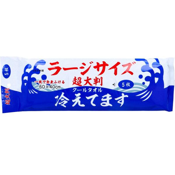 一枚で全身ふける厚手大型シート！汗・ベタつきをしっかりふきとる！60×40cmの超大判シート！●清涼成分メントール配合でスッキリ爽快！●さらさらパウダー入りなのでお肌のさらさら感が持続します。●ヒアルロン酸Na配合、タルク・ミョウバン配合、...