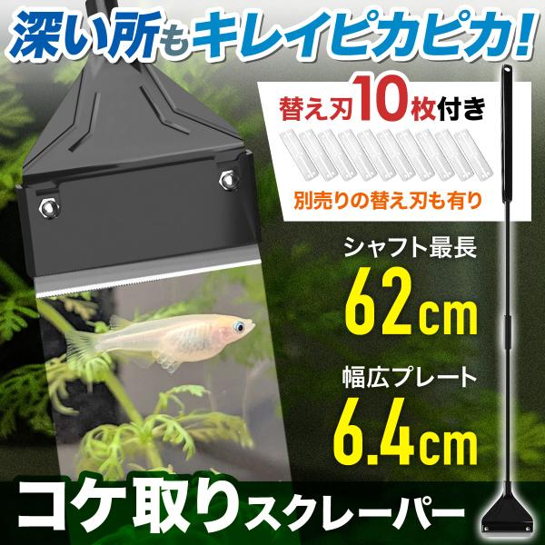 ＼幅広タイプ／で掃除がラクになる！水槽 アクアリウム コケ取り スクレーパー セット■水槽の汚れスッキリ！先端に薄刃のカミソリが付いているので、ガラス面 を軽くこするだけで頑固なコケや藻を簡単に取る事ができます。■幅広スクレーパーで楽々時短...