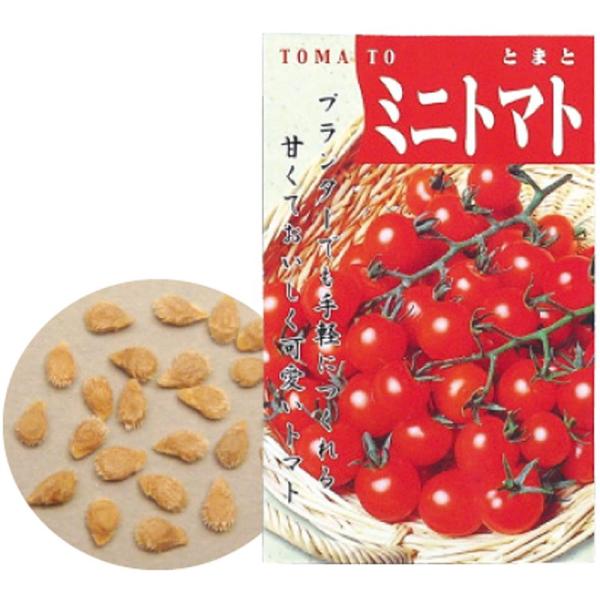 野菜の種 ミニトマト 理科教材 理科教材 備品プランターでもつくれるミニトマトの種！■メーカー・ブランド名：株式会社花の大和■個装サイズ：10×15×0.1cm■型番：2733■内容量：約8粒■原産国：種原産：中国■商品説明：プランターでも...