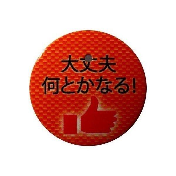 【 かんたん♪貼るだけ！ 】裏のラベル紙をはがして位置を合わせて貼るだけです【製品特徴】・ハイクオリティの日本国内での製造商品です。・スイッチ表面形状に合わせた金属製です。・ステッカーではありません。シワ、切れ、ゆがみ無く位置を合わせて簡単...