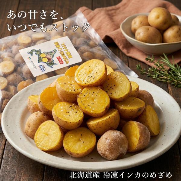 ※取り寄せ品の納期については、メーカー在庫有時の表記となっております。商品欠品等により、通常よりお時間がかかる場合がございます。予めご了承ください。