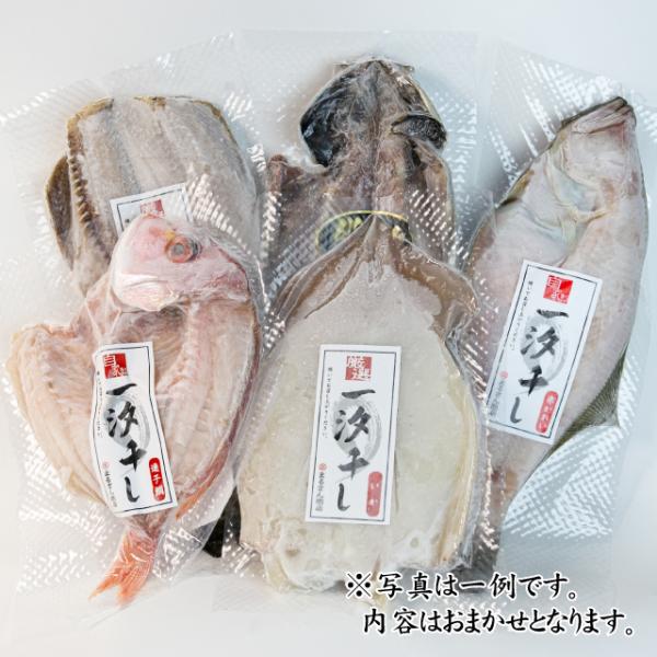 厳選された日本海の幸！その時のおすすめのお魚を一夜干しにしてお届けします。