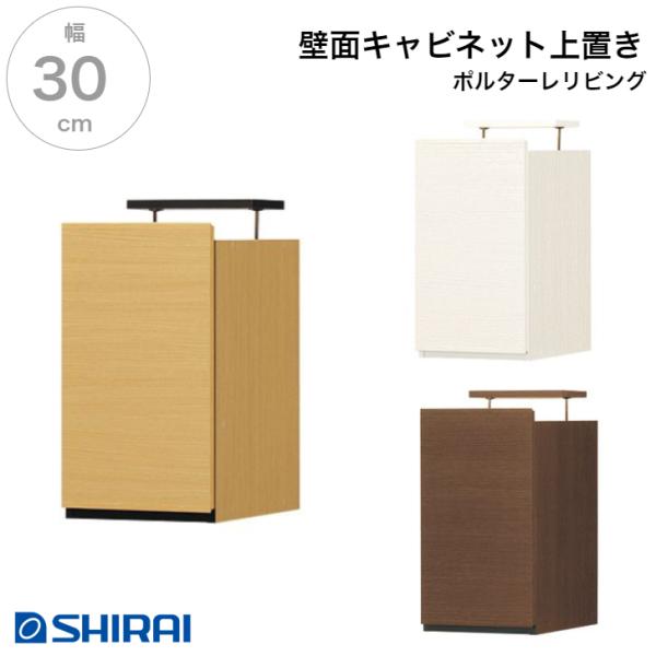 サイズ 幅300×奥行416×高さ550〜650mm材質 【本体素材】プリント紙化粧繊維板【表面素材】プリント紙化粧繊維板【特殊加工】扉：木口ラッピング耐荷重 移動棚：10kg地板：10kg備考 移動棚：1枚棚ストッパー付耐震ラッチ付※ご使...