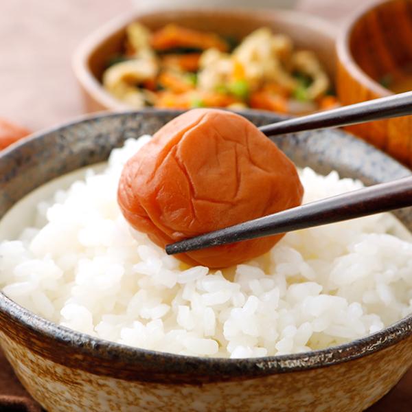 ＴＶや雑誌で大絶賛の梅干し4種お試しセット送料無料！1836円(五代梅、はちみつ梅うすしお味,しそ漬梅干,こんぶ梅干)※こちらの商品の梅干しは粒の大きさが不揃いです。対応手提げ袋 / NO2※手提げ袋は有料となっております。ご入用の場合は下...