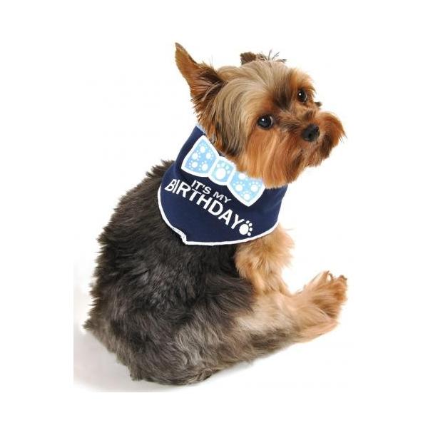 【i see spot/アイ・シー・スポット　バースディ・犬用バンダナ】 ＬＡ発。i see spotから、お誕生日の主役をかわいくお祝いするBirthdayのスカーフです。 お誕生日の日は、こんなかわいいスカーフを付けて一日お祝いしてあげ...