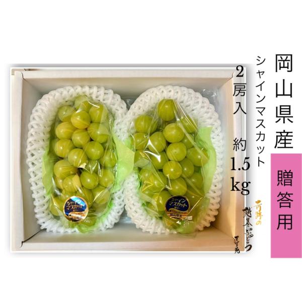 こちらは特殊な専用冷蔵庫による冷蔵品になります。【商品名】贈答用　シャインマスカット２房入り【内容量】約1.5kg【数量】２房入【梱包】化粧箱入シャインマスカットは通常、9月〜１１月頃までの販売ですが、11月以降は特別な栽培方法と特殊な冷蔵...