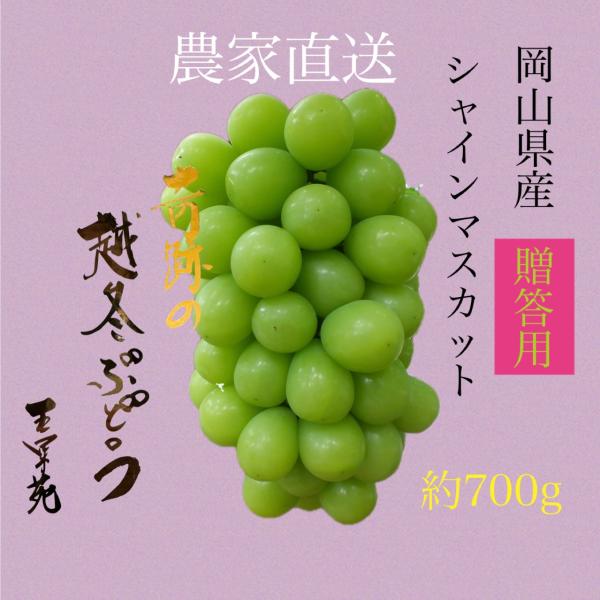 【商品名】シャインマスカット（中）【内容量】約7００g【数量】1房入【梱包】化粧箱入シャインマスカットは通常、9月〜１１月頃までの販売ですが、11月以降は特別な栽培方法と特殊な冷蔵庫で品質管理しておりますので、冬季も発送が可能です。クリスマ...