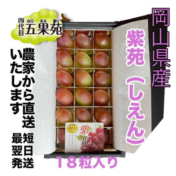 こちらは特殊な専用冷蔵庫による冷蔵品になります。【商品名】紫苑【内容量】18粒入り/箱【数量】１箱【梱包】化粧箱入紫苑は通常、１０月〜１２月頃までの販売ですが、1２月以降は特別な栽培方法と特殊な冷蔵庫で品質管理しておりますので、冬季も発送が...
