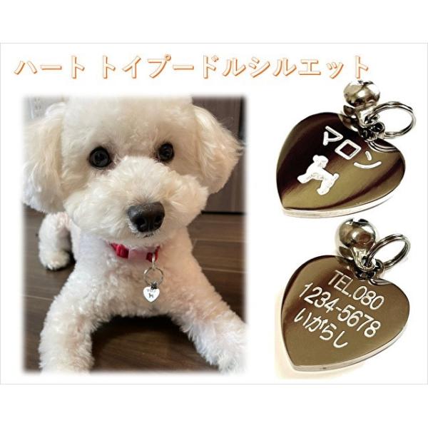 【発売日：2021年05月01日】トイプードルの女の子にはぴったりです。ハートのチャームはとても人気があります。【刻印について】表面（お名前）のフォントは８種類からお選びください（画像参照）裏面（連絡先）はゴシック体のみとなりますのでご了承...