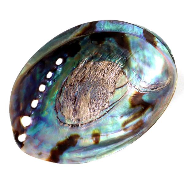 貝殻1枚のみの販売となります。ニュージーランド産 アバロンシェル 両面磨きタイプ。貝殻の大きさ:約11 x 9 x 3cm。 おおよそのサイズになります。天然の貝を加工した商品になるため、1つずつ大きさや色味などが異なります。ホワイトセージ...