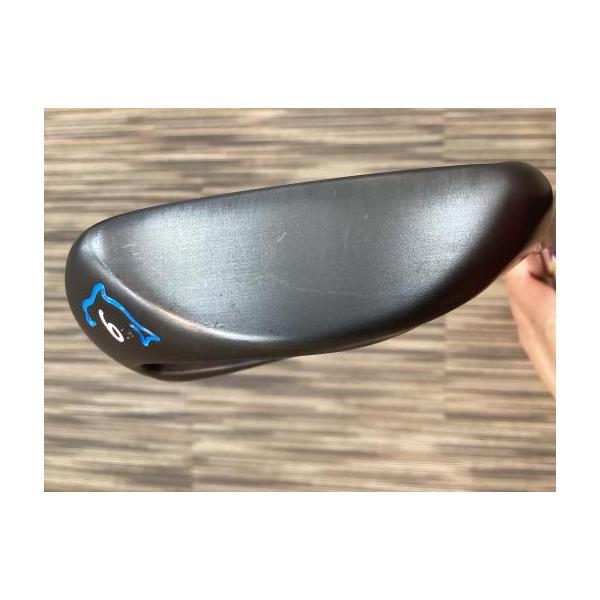 中古　Cランク　キャスコ ドルフィン アイアン DI-119(ブラック) Dolphin Iron DI-119(ブラック) #6 単品アイアン Dolphin DP-151(ブラック) フレックスR