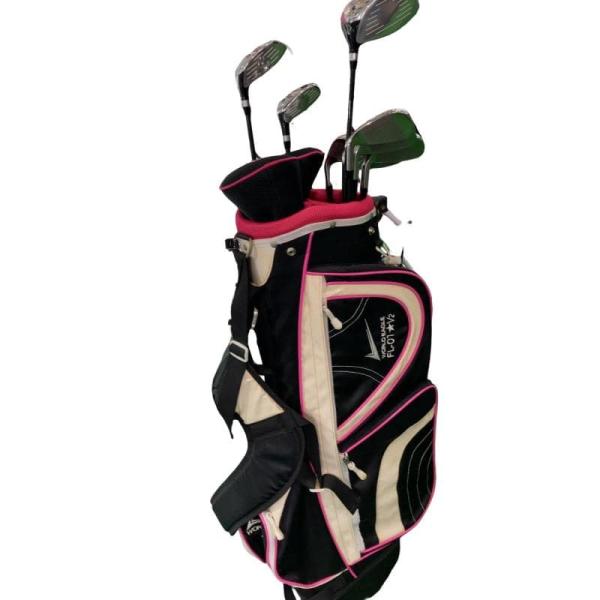 中古　Cランク　ＷＯＲＬＤ　ＧＯＬＦ　ＷＯＲＬＤ　ＥＡＧＬＥ　ＷＯＲＬＤ　ＥＡＧＬＥ　ＦＬ−０１　Ｖ２　１０Ｓ　ブラックベリー　レディース（実本数：９本セット）　クラブセット　オリジナルカーボン 　フレックスＬ ロフト角:33.00