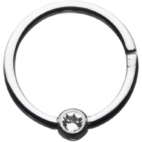 商品名16GA インプラントグレード チタン CZ クリスタル ジェム ヒンジ セグメント リングPierced Owl 16GA Implant Grade Titanium CZ Crystal Gem Hinged Segment R...