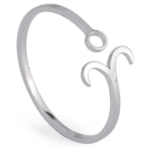 商品名Dreamtimes ステンレススチール 星座リング レディース 12星座 オープンリング 牡羊座 レオ 乙女座 ふたご座 てんびん座 魚座 さそり座 誕生日プレゼント, M, ステンレス鋼Dreamtimes Stainless S...