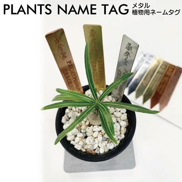 金属にエッチング加工で文字を彫り込んおります。文字が消えて読めなくなる心配がありません。銅、真鍮は長くご使用いただくとアンティーク調に変化いたします 植物の成長と合わせてお楽しみください。ステンレスは経年変化が少なくいつまでも綺麗にお使いい...