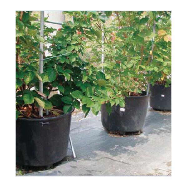 【品　名】 サンポリ サンポット ６５L Φ565×430mm【寸　法】 外径Φ565　×　高さ430mm　【重　量】 3.5ｋｇ【容　量】 65リットル【商品説明】 ●同じ場所で多種の栽培ができます●栽培不適地での果樹等の栽培が、可能にな...