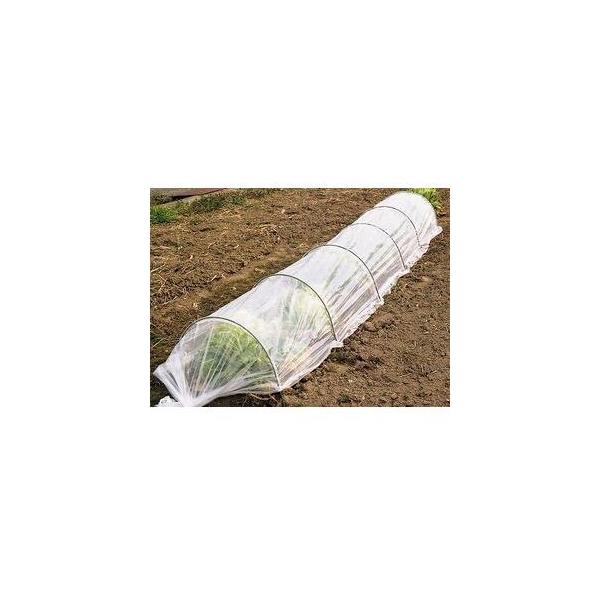 おてがる君 ポリシートタイプ 間口75cm×長さ2.1m苗の育成や野菜の保温、霜よけなどに最適です。●支柱とシートが一体になっているので他に部材は必要ありません。●設置は広げて土の中に差し込むだけ。苗の育成や野菜の保温、霜よけなどに最適です...
