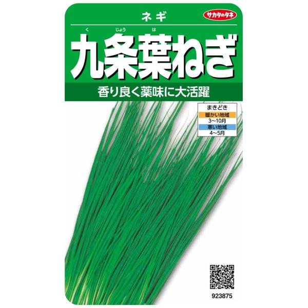 【商品概要】切替月:6月詰量:15ml発芽率:80%採苗本数:1800春秋扱い:春秋兼用種まきどき:春・秋【商品説明】【商品詳細】ブランド：サカタのタネ商品種別：DIY・工具・ガーデン商品名：サカタのタネ 実咲野菜3875 九条葉ねぎ ネギ...