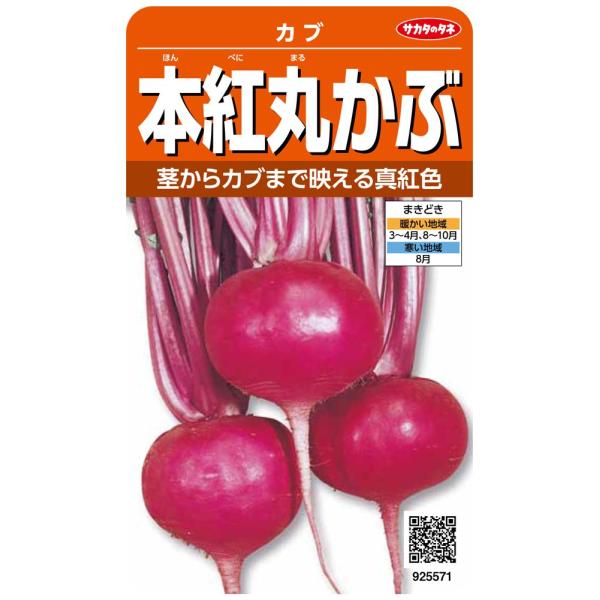 【商品概要】切替月:6月詰量:8ml発芽率:90%採苗本数:1000春秋扱い:春秋兼用種まきどき:春・秋【商品説明】【商品詳細】ブランド：サカタのタネ商品種別：DIY・工具・ガーデン商品名：サカタのタネ 実咲野菜5571 本紅丸かぶ カブ ...