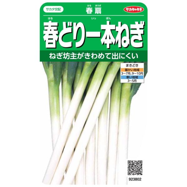 【商品概要】切替月:6月詰量:2.5ml発芽率:80%採苗本数:250春秋扱い:春秋兼用種まきどき:春・秋【商品説明】【商品詳細】ブランド：サカタのタネ商品種別：DIY・工具・ガーデン商品名：サカタのタネ 実咲野菜3802 春どり一本ねぎ ...