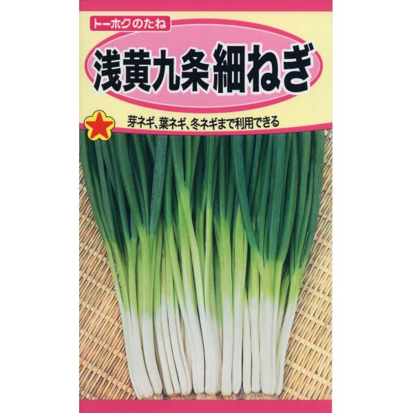 【商品概要】春秋まき内容量:7ml発芽率:80%ユニット数: 5【商品説明】【商品詳細】ブランド：株式会社トーホク商品種別：DIY・工具・ガーデン商品名：株式会社トーホク 浅黄九条細ねぎ 02373製造元：株式会社トーホク商品番号：0237...
