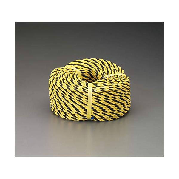 【商品概要】材質:PE・不織布^色:黄/黒^全長:100m^線径:直径12mm^重量:約3.5/4.0kg^標識ロープにつき引っ張り荷重はありません。物を吊るす目的には使用しないでください。【商品説明】【商品詳細】ブランド：エスコ(Esco...