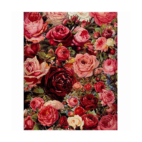 【商品概要】LovetheFamily 数字油絵 数字キット塗り絵 手塗り DIY絵 デジタル油絵 赤いバラ 40x50 cm ホーム オフィス装飾【商品説明】LovetheFamily 数字油絵 数字キット塗り絵 手塗り DIY絵 デジタ...