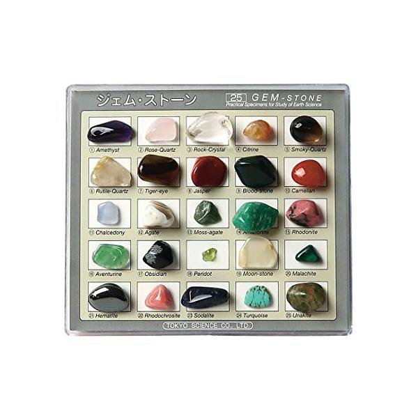 【商品概要】ジェムストーン25種入数:1セット鉱物名（英名、和名）、硬度、比重、結晶系、化学組成、主な産地の表記付き【商品説明】【商品詳細】ブランド：Tokyo Science商品種別：おもちゃ商品名：鉱物標本（ジェムストーン25種） /3...