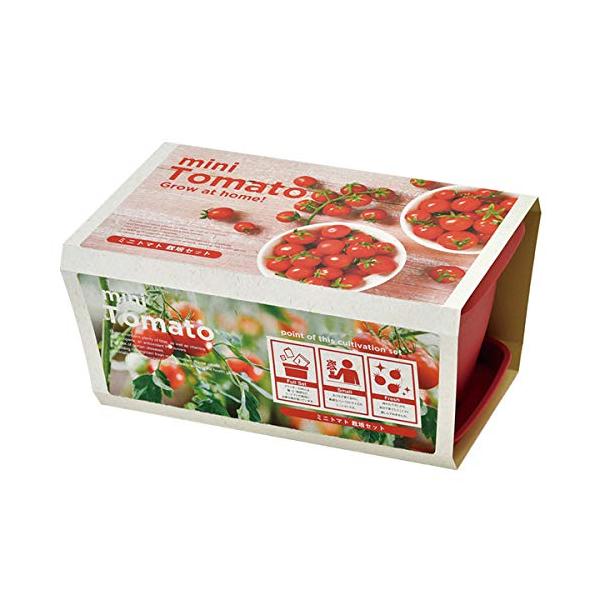 【商品概要】ベジ【商品説明】【商品詳細】ブランド：聖新陶芸商品種別：DIY・工具・ガーデン商品名：聖新陶芸 エンジョイプランター ミニトマト ベジ GD-93102製造元：聖新陶芸商品番号：GD-93102商品内容：サイズ：約W23.5 D...