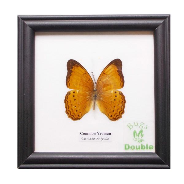 ■システム反映の都合上、ご購入後でも品切れになっている場合があります。その場合、ご登録のメールアドレスに通知致します。必ずご確認をお願いします。■サイズ・カラー等の記載が無い場合や複数記載がある場合があります。ご不明点は、ご購入前にご質問く...