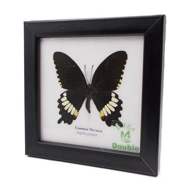 ■システム反映の都合上、ご購入後でも品切れになっている場合があります。その場合、ご登録のメールアドレスに通知致します。必ずご確認をお願いします。■サイズ・カラー等の記載が無い場合や複数記載がある場合があります。ご不明点は、ご購入前にご質問く...