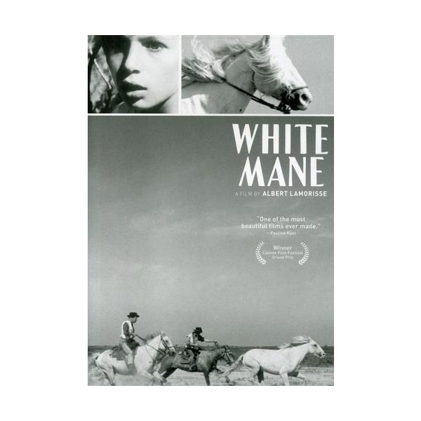 こちらのＤＶＤはリージョン＝１の輸入盤DVDです。リージョン＝フリーのＤＶＤプレイヤーでない場合、再生できない可能性があります。YAHOOショッピングではリージョン＝フリーのＤＶＤプレイヤーもお取り扱いしております。種別：DIGITAL V...