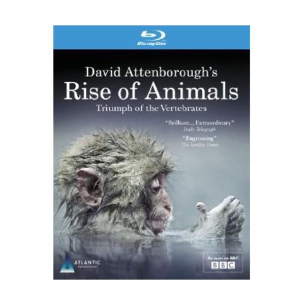 輸入盤ブルーレイですが日本のブルーレイ・プレイヤーで視聴できます。※ご確認ください※一部輸入版アニメブルーレイには、「リージョンコード」とは別の「国コード」というものが設定されている作品がございます。お持ちのブルーレイ・プレイヤーが国コード...