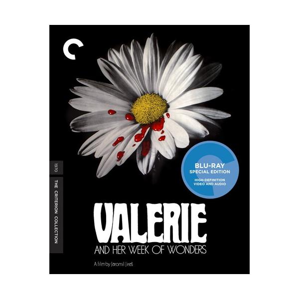 輸入盤ブルーレイですが日本のブルーレイ・プレイヤーで視聴できます。※ご確認ください※一部輸入版アニメブルーレイには、「リージョンコード」とは別の「国コード」というものが設定されている作品がございます。お持ちのブルーレイ・プレイヤーが国コード...