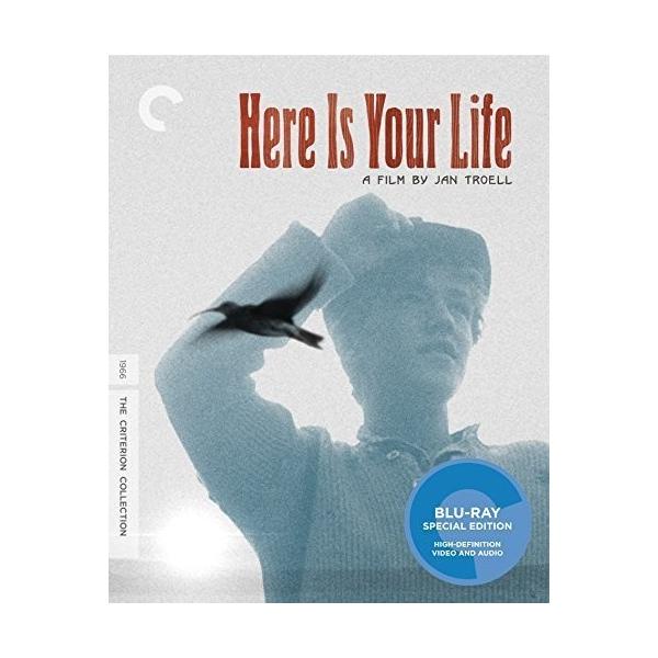 輸入盤ブルーレイですが日本のブルーレイ・プレイヤーで視聴できます。※ご確認ください※一部輸入版アニメブルーレイには、「リージョンコード」とは別の「国コード」というものが設定されている作品がございます。お持ちのブルーレイ・プレイヤーが国コード...