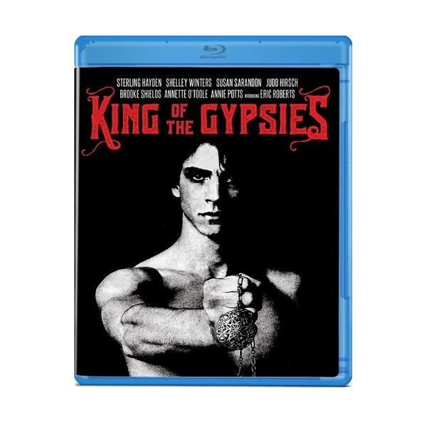 輸入盤ブルーレイですが日本のブルーレイ・プレイヤーで視聴できます。※ご確認ください※一部輸入版アニメブルーレイには、「リージョンコード」とは別の「国コード」というものが設定されている作品がございます。お持ちのブルーレイ・プレイヤーが国コード...