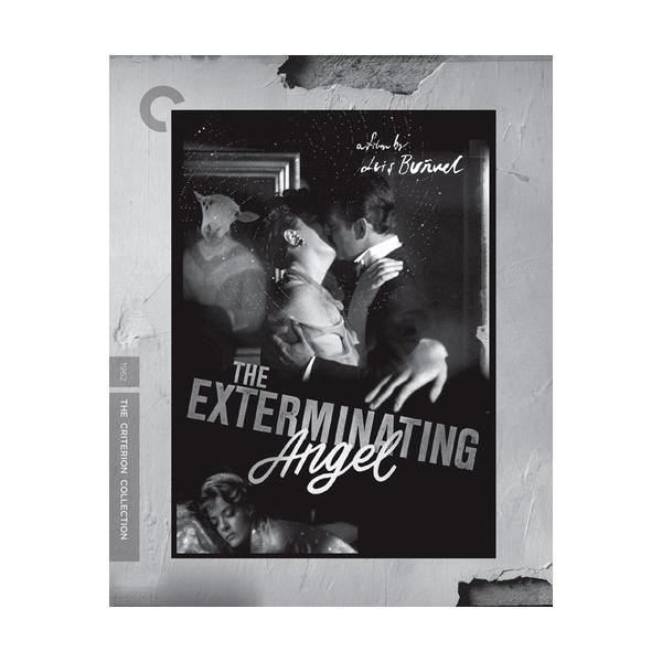 輸入盤ブルーレイですが日本のブルーレイ・プレイヤーで視聴できます。※ご確認ください※一部輸入版アニメブルーレイには、「リージョンコード」とは別の「国コード」というものが設定されている作品がございます。お持ちのブルーレイ・プレイヤーが国コード...