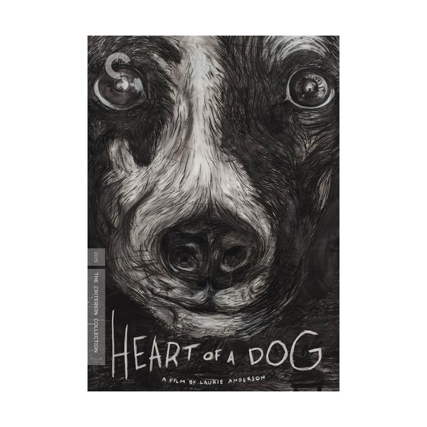 こちらのＤＶＤはリージョン＝１の輸入盤DVDです。リージョン＝フリーのＤＶＤプレイヤーでない場合、再生できない可能性があります。YAHOOショッピングではリージョン＝フリーのＤＶＤプレイヤーもお取り扱いしております。種別：DIGITAL V...