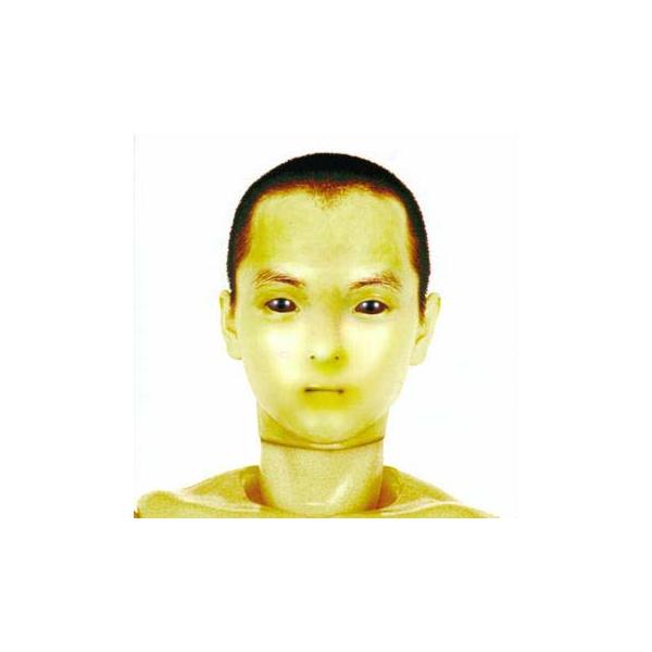 【発売日：2000年05月24日】【品番】 BNCL-11【JAN】 4529408000536【発売日】 2000年05月24日【アーティスト】SPOOZYS【収録内容】(1)Highway-Hypnosises(長距離ドライブ中の幻覚)...