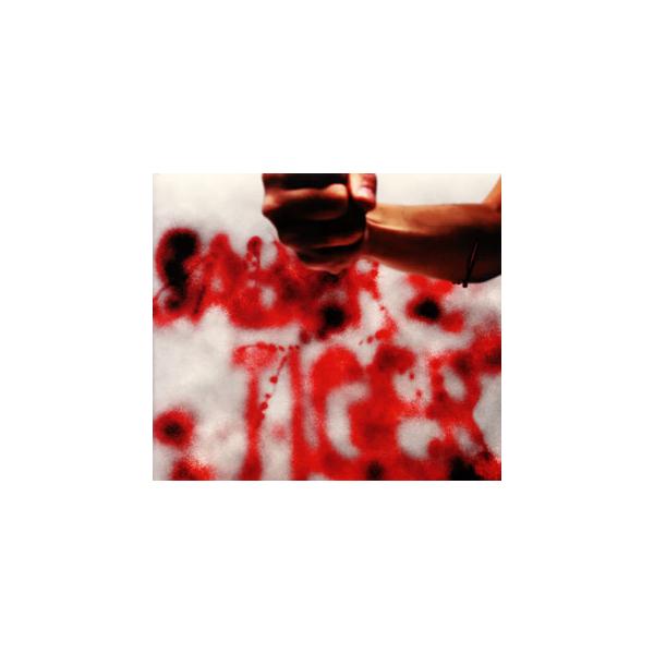 【発売日：2001年01月24日】【品番】 VPCC-81355【JAN】 4988021813556【発売日】 2001年01月24日【アーティスト】サーベル・タイガー【収録内容】(1)RISE2001(2)VAGUE BLESS YOU...