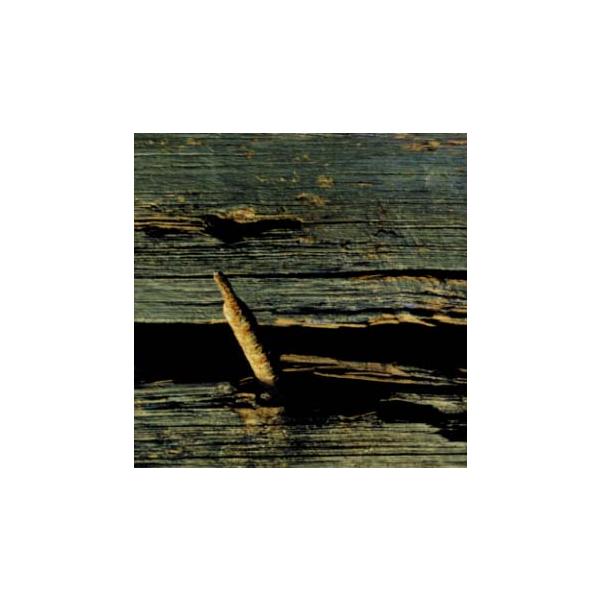 【発売日：2001年02月20日】【品番】 BNCP-48【JAN】 4529408000673【発売日】 2001年02月20日【アーティスト】ホーム【収録内容】(1)The Bogeymen(2)Industry 2000(3)Our ...