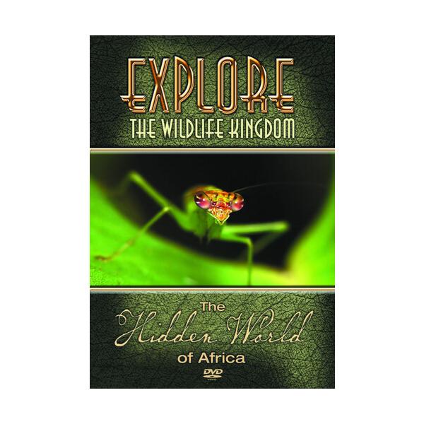 こちらのＤＶＤは輸入盤ＤＶＤですがリージョン＝ＡＬＬですので国内製ＤＶＤプレイヤーでも視聴可能です。種別：DIGITAL VIDEO DISCジャンル：Special Interest-Documentary発売日：2006/1/24収録分...