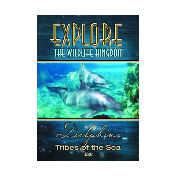 こちらのＤＶＤは輸入盤ＤＶＤですがリージョン＝ＡＬＬですので国内製ＤＶＤプレイヤーでも視聴可能です。種別：DIGITAL VIDEO DISCジャンル：Special Interest-Documentary発売日：2006/5/16収録分...