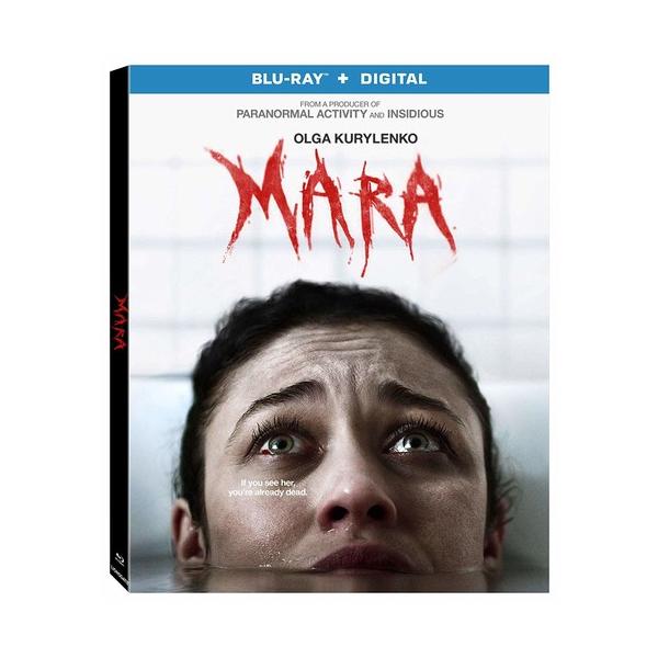 輸入盤ブルーレイですが日本のブルーレイ・プレイヤーで視聴できます。※ご確認ください※一部輸入版アニメブルーレイには、「リージョンコード」とは別の「国コード」というものが設定されている作品がございます。お持ちのブルーレイ・プレイヤーが国コード...