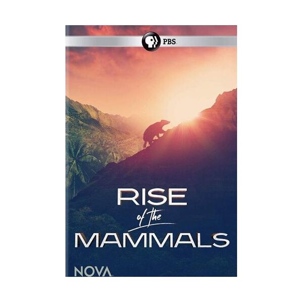 こちらのＤＶＤは輸入盤ＤＶＤです。リージョン＝フリーのＤＶＤプレイヤーでない場合、再生できない可能性があります。YAHOOショッピングではリージョン＝フリーのＤＶＤプレイヤーもお取り扱いしております。種別：DIGITAL VIDEO DIS...