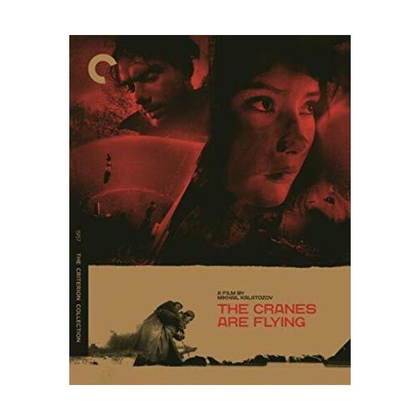 輸入盤ブルーレイですが日本のブルーレイ・プレイヤーで視聴できます。※ご確認ください※一部輸入版アニメブルーレイには、「リージョンコード」とは別の「国コード」というものが設定されている作品がございます。お持ちのブルーレイ・プレイヤーが国コード...