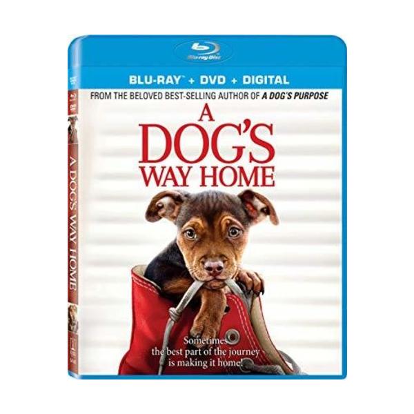 輸入盤ブルーレイですが日本のブルーレイ・プレイヤーで視聴できます。※ご確認ください※一部輸入版アニメブルーレイには、「リージョンコード」とは別の「国コード」というものが設定されている作品がございます。お持ちのブルーレイ・プレイヤーが国コード...